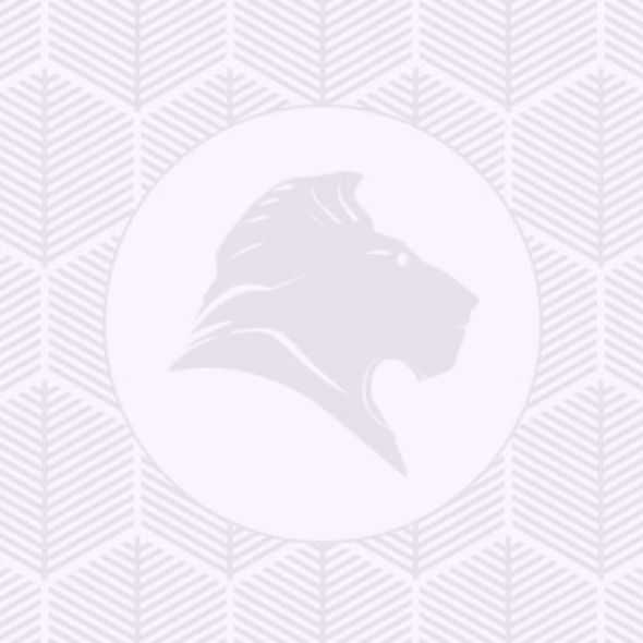 LG1 Ice Rink Railing